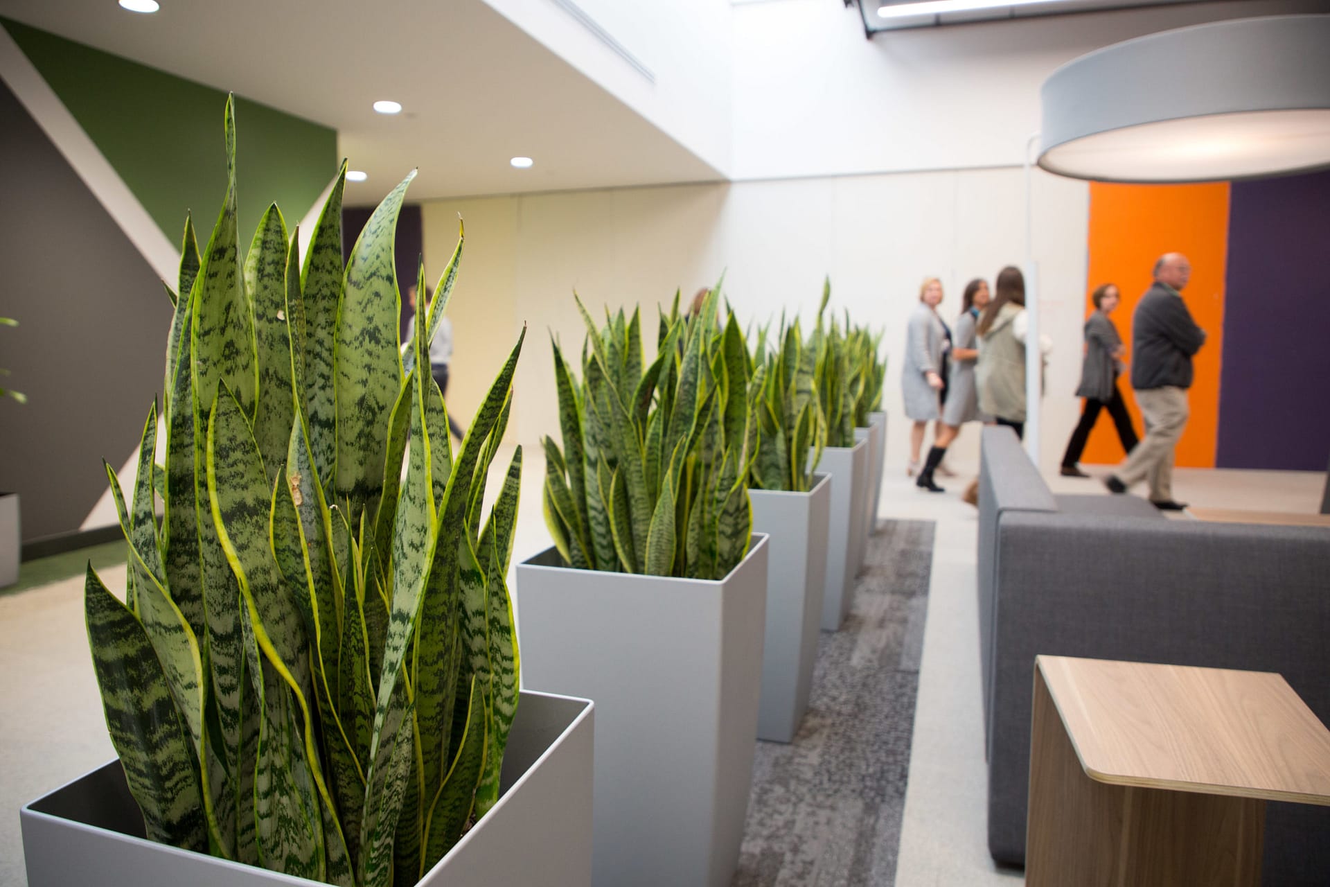 Our Work - Greenery Designs