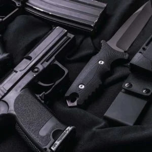 Top 20 Best Weapon Sites - Aelieve Digital Marketing & Web Design ...