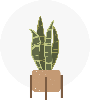 Plantscaping Services - Greenery Designs