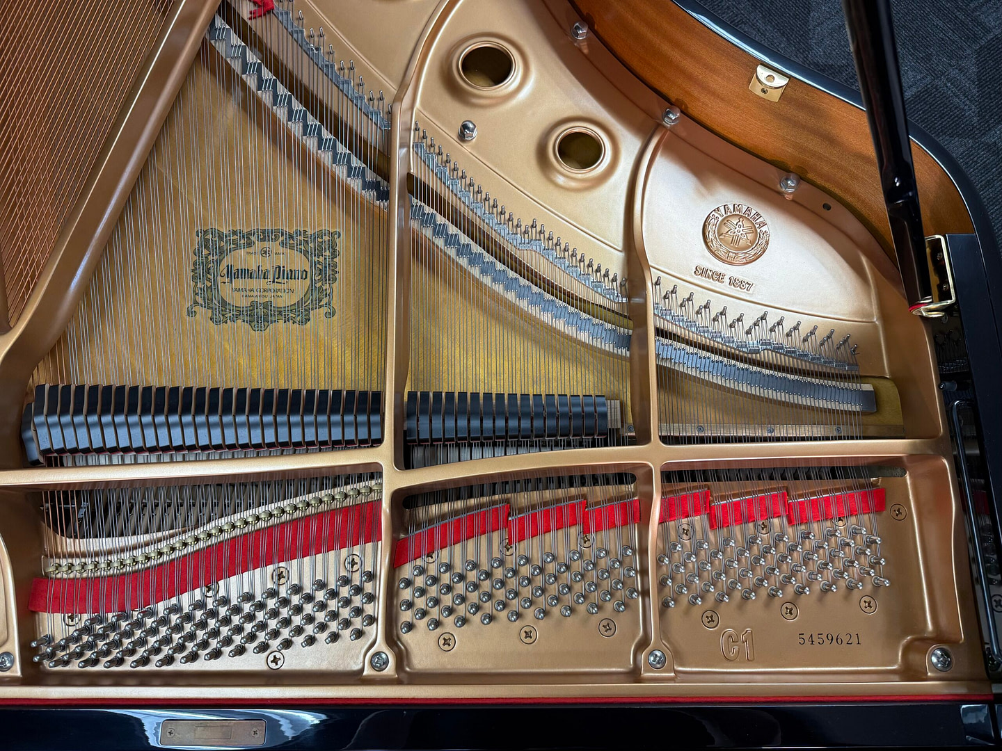 Yamaha C1 - Brock Family Music