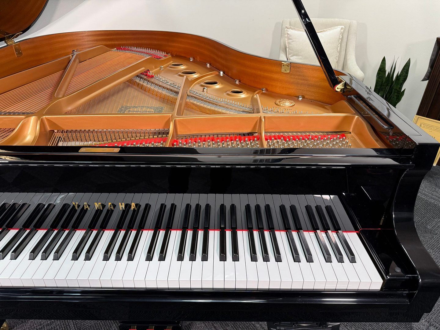 Yamaha C1 - Brock Family Music