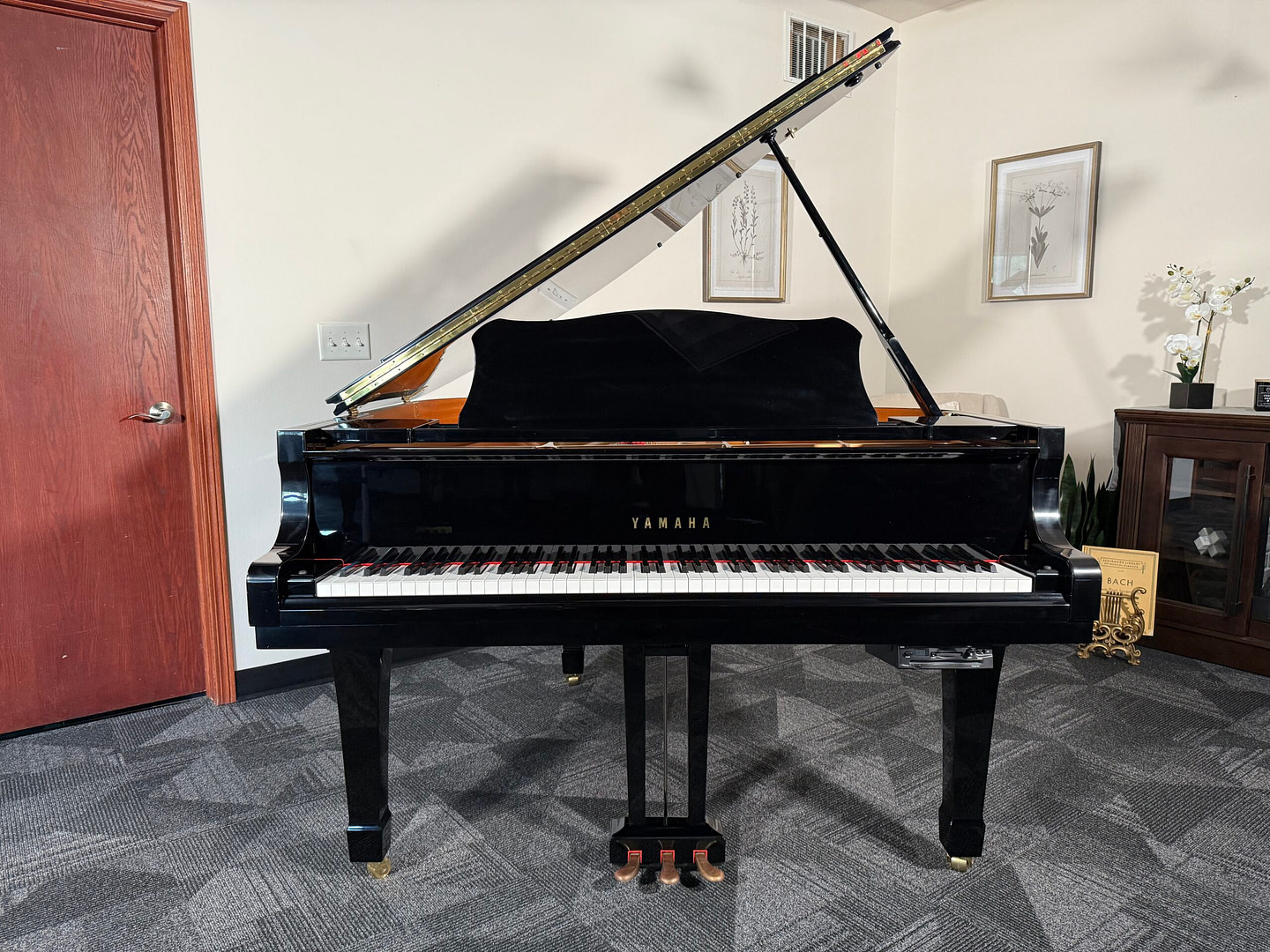 Yamaha C1 - Brock Family Music