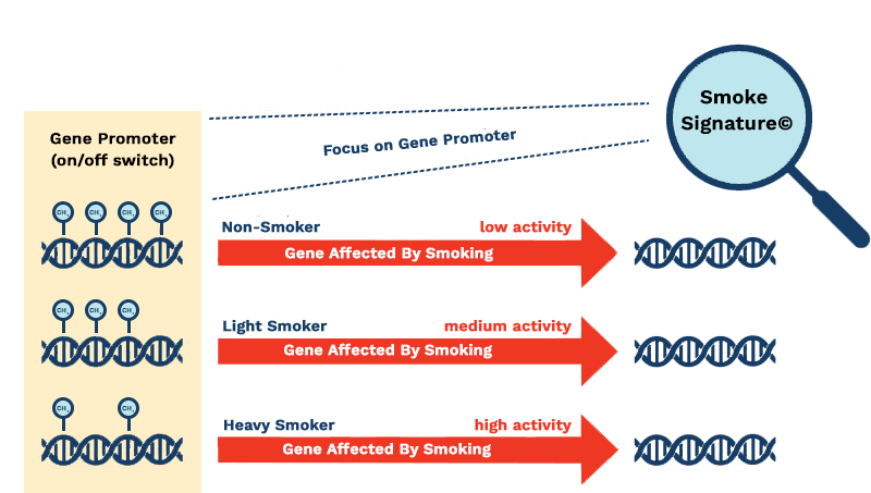 Our Research | Behavioral Diagnostics