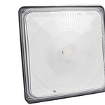 National Epilepsy Month: LEDs & Photosenstive Seizures | Sitler's LED ...